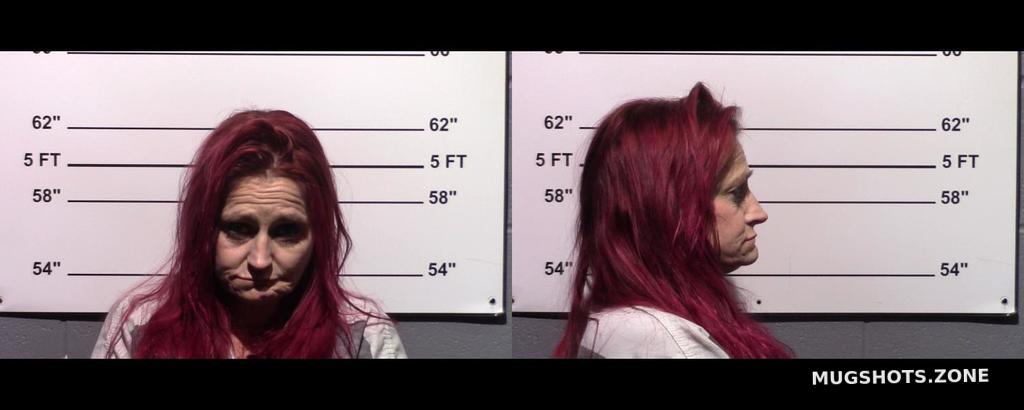 TEER MISTY ANN 12/28/2023 - Gillespie County Mugshots Zone