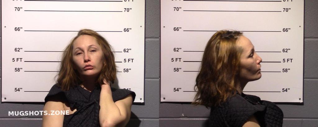 BRAVE RACHEL BRIANNA LEE 01/28/2024 - Gillespie County Mugshots Zone