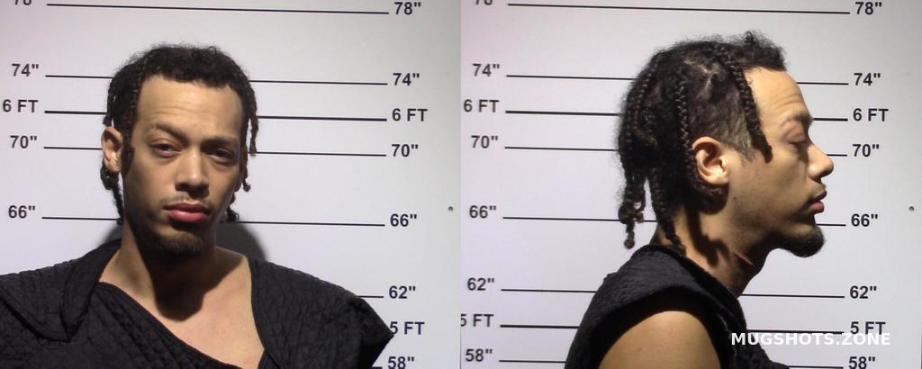 COOK IVAN RAY JR. 04/03/2024 - Gillespie County Mugshots Zone