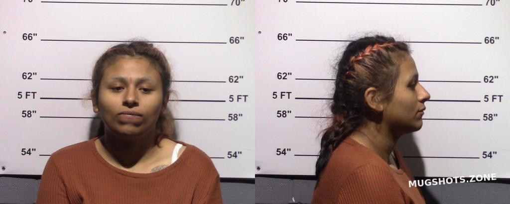 AVILA RUBY 04/08/2024 - Gillespie County Mugshots Zone