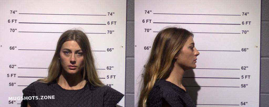 JARRELL LINDSAY PAIGE 05/15/2024 - Gillespie County Mugshots Zone