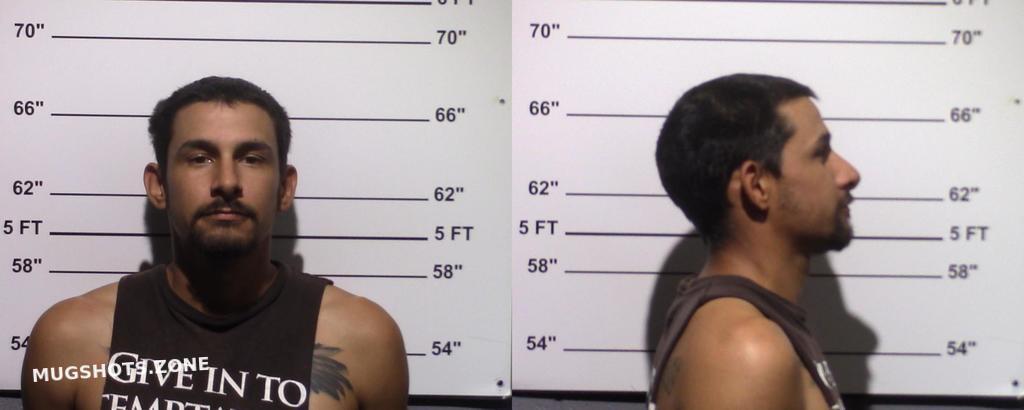 BLAKE REED 07/28/2024 - Gillespie County Mugshots Zone