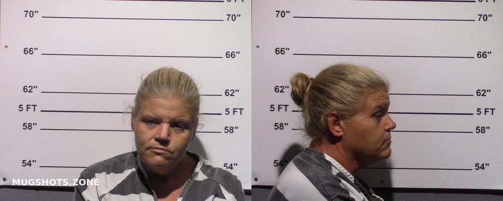 DOOLEY NICHOLE DARLENE 08/20/2024 - Gillespie County Mugshots Zone