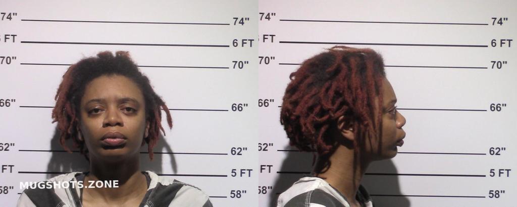 WARD CRYSTAL RASHELLE 08/20/2024 - Gillespie County Mugshots Zone