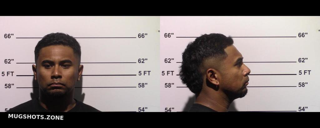 NAJAR ALEX MITCHEL FERIA 10/29/2024 - Gillespie County Mugshots Zone