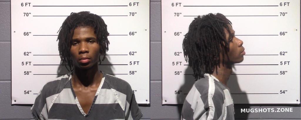 DEFELL TONY 10/30/2024 - Gillespie County Mugshots Zone