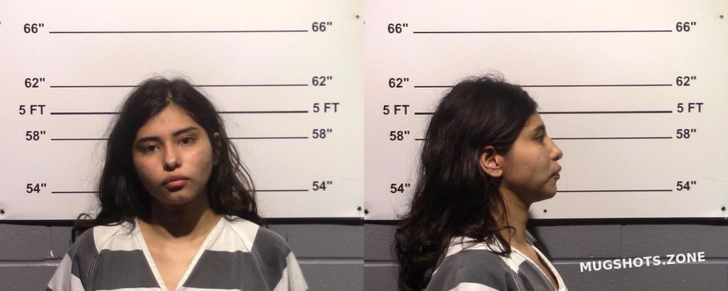 GARCIA JESSICA ARGOTE 11/21/2024 - Gillespie County Mugshots Zone