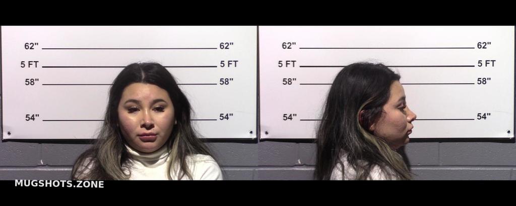 GONGORA CRYSTAL DENISE 12/08/2024 - Gillespie County Mugshots Zone