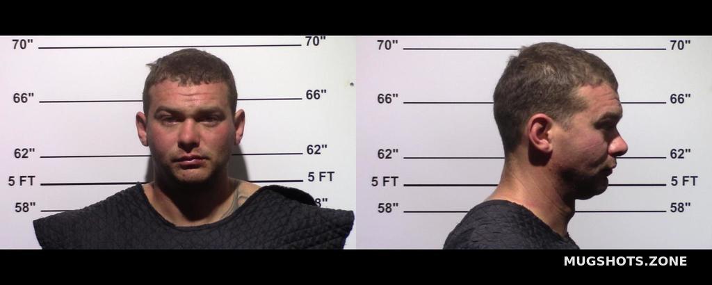 REED JASON LEE 12/31/2024 - Gillespie County Mugshots Zone