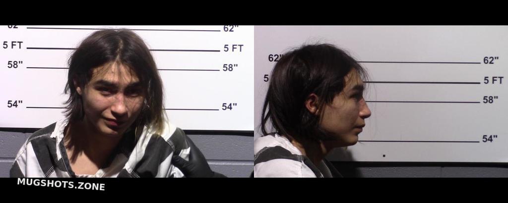 CANTU DEVIN ANTHONY 01/18/2025 - Gillespie County Mugshots Zone