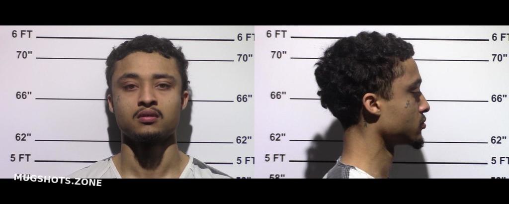 STEPHENS TRAYVION LA'VORIC 01/22/2025 - Gillespie County Mugshots Zone