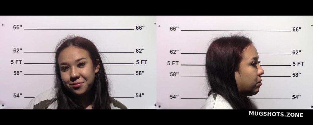 TELLO ALEXIS VAUGHN 01/25/2025 - Gillespie County Mugshots Zone