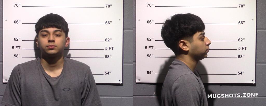 Ramirez Yahir 02 13 2025 Gillespie County Mugshots Zone