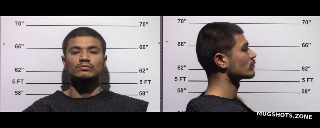 OHM ANGEL LEVI 02/18/2025 - Gillespie County Mugshots Zone