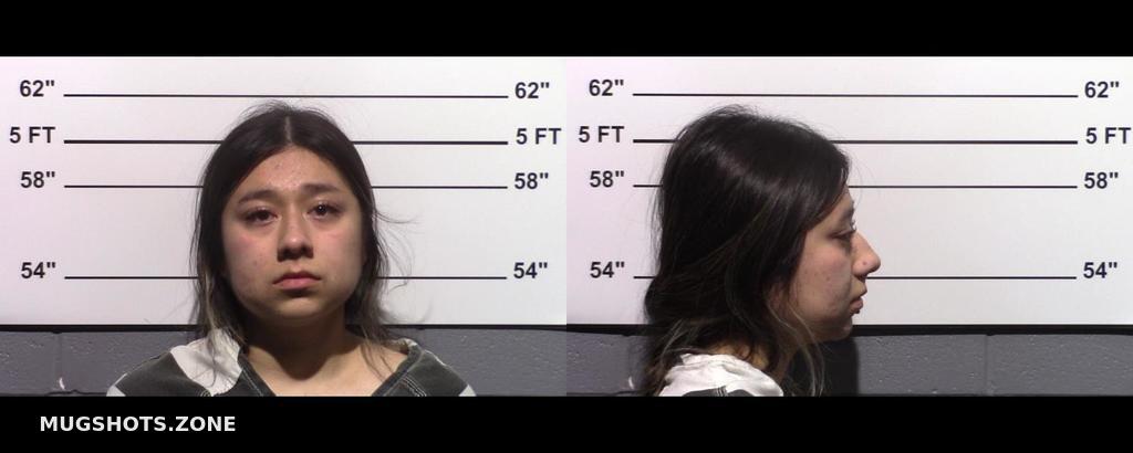 GUEVARA RUBY ABIGAIL 02/19/2025 - Gillespie County Mugshots Zone