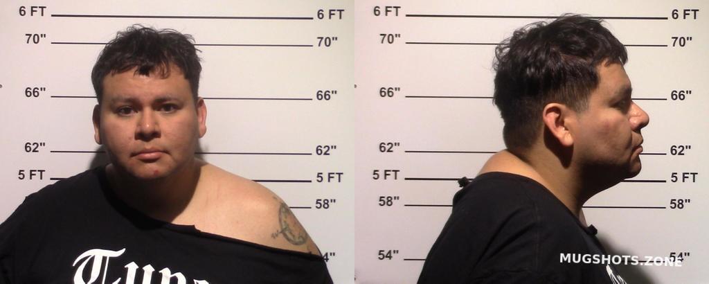 ROMAN ANGEL RAY 03/13/2025 - Gillespie County Mugshots Zone