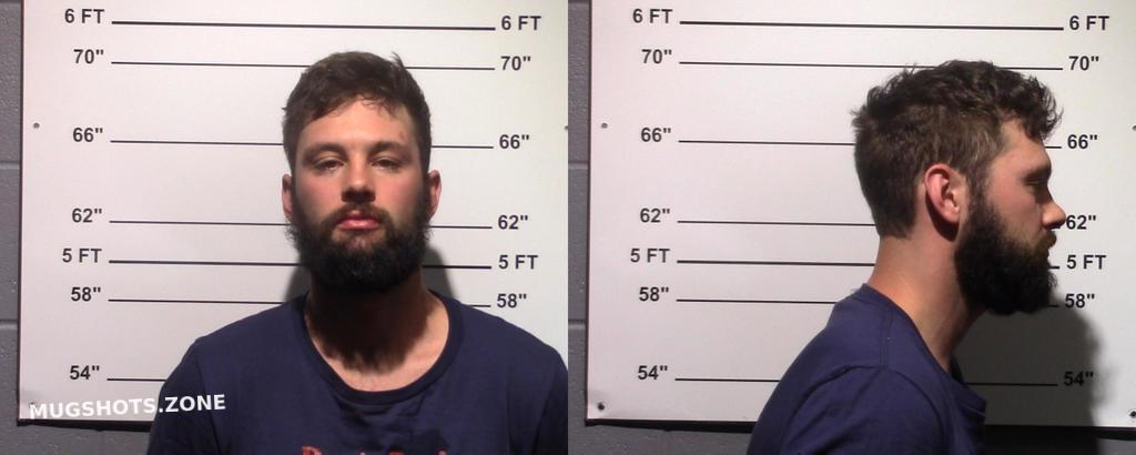 RAPP GRAYSON MICHAEL 03/22/2025 - Gillespie County Mugshots Zone