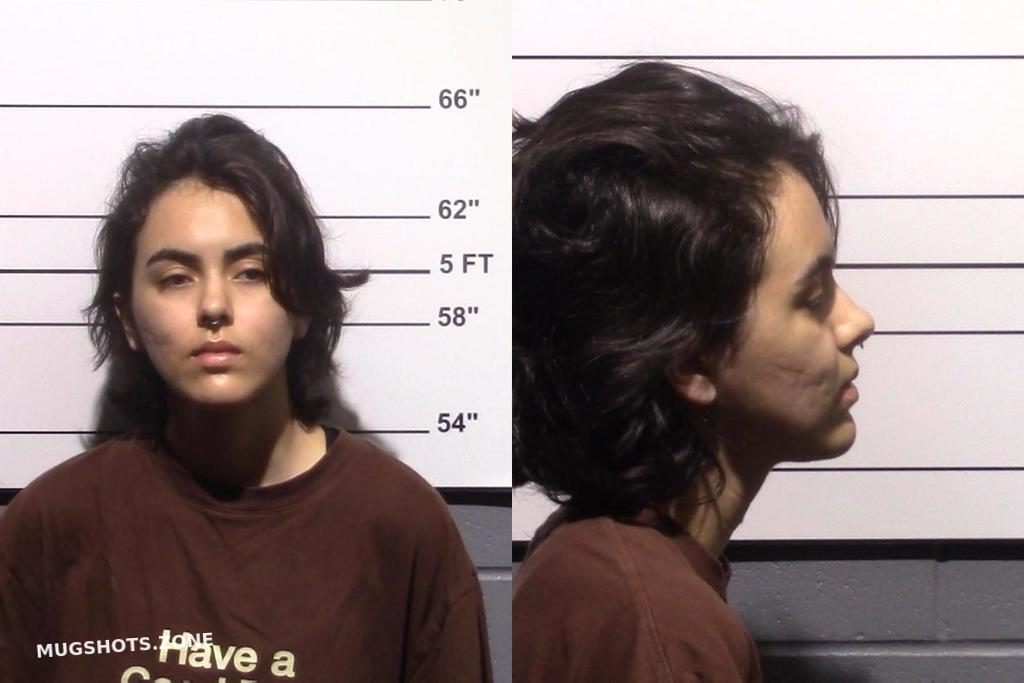 LANE RUBY JOY 05/04/2025 - Gillespie County Mugshots Zone