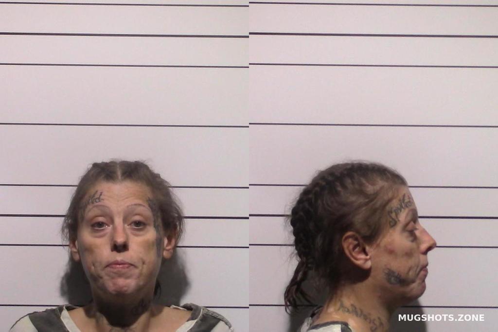 ODELL ASHLEY DENISE 05/19/2025 - Gillespie County Mugshots Zone