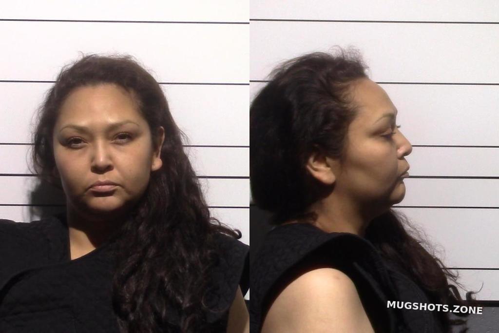 LEDEZMA BLANCA ROSA 06/13/2025 - Gillespie County Mugshots Zone