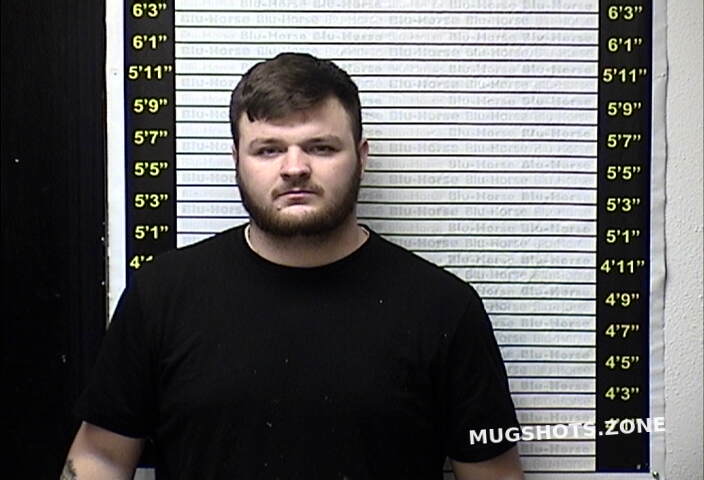 HENDERSON JOSHUA TYLER 02/07/2023 - Graves County Mugshots Zone