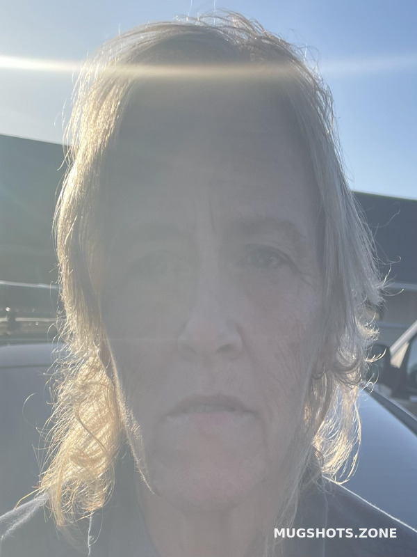WILHELM CYNTHIA 04/14/2024 - Graves County Mugshots Zone