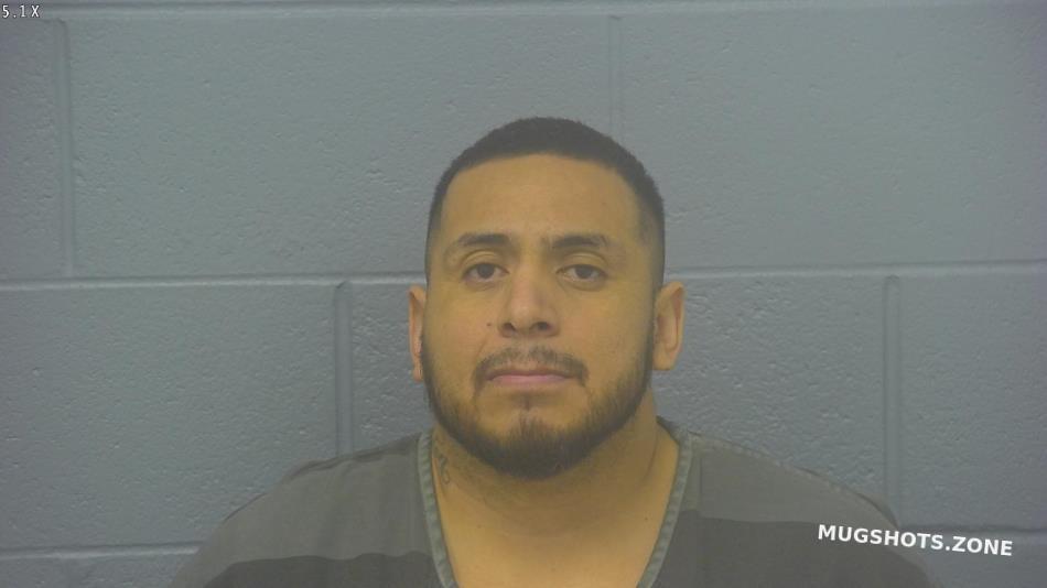 REYES-SANTELLANA CARLOS NMN 11/15/2024 - Greene County Mugshots Zone