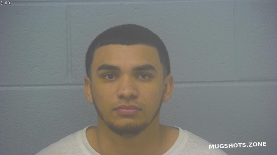 REYES VILLALOBOS BRAYAN JAVIER 01/29/2025 - Greene County Mugshots Zone REYES VILLALOBOS BRAYAN JAVIER 01/29/2025 - Greene County Mugshots Zone
