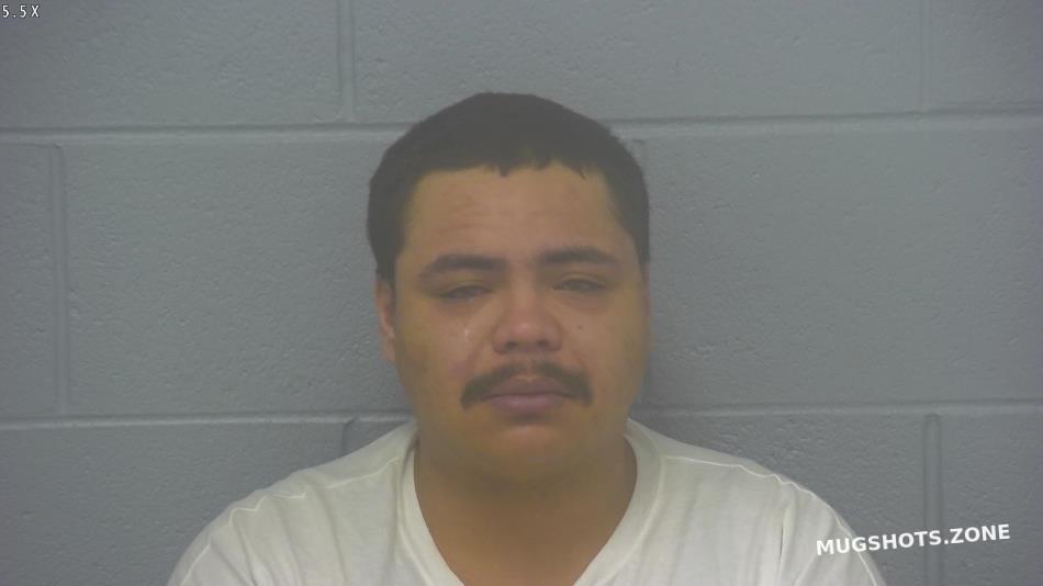 SIMON KYRON LEE 02/17/2025 - Greene County Mugshots Zone