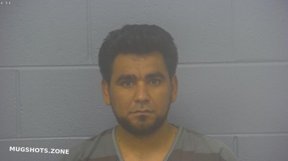 TORO-MALPICA ANDERSON RAMON 02/23/2025 - Greene County Mugshots Zone