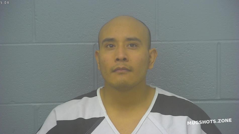 RAMOS-LOPEZ CESAR RODOLFO 02/25/2025 - Greene County Mugshots Zone