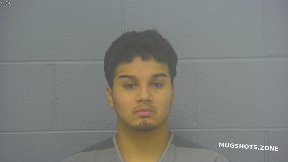 LARA-MEJIA EDWIN ENRRIQUE 02/27/2025 - Greene County Mugshots Zone