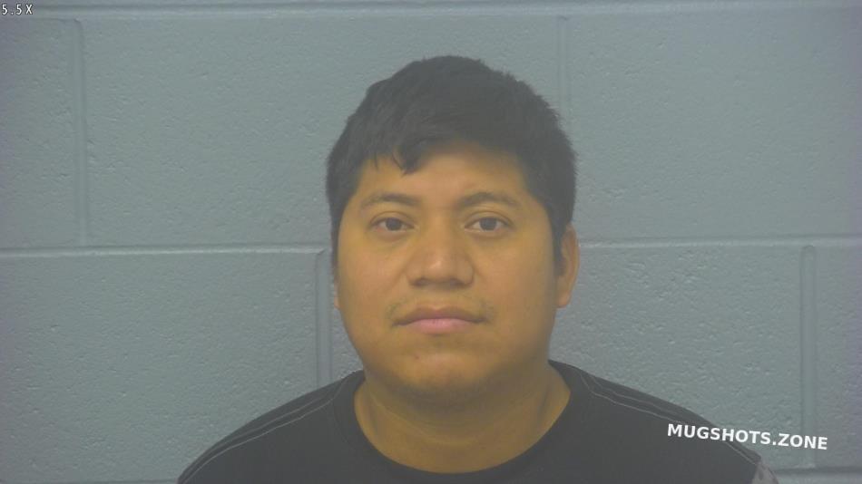 ELIAS GOMEZ SELVIN YOVANI 03/04/2025 - Greene County Mugshots Zone