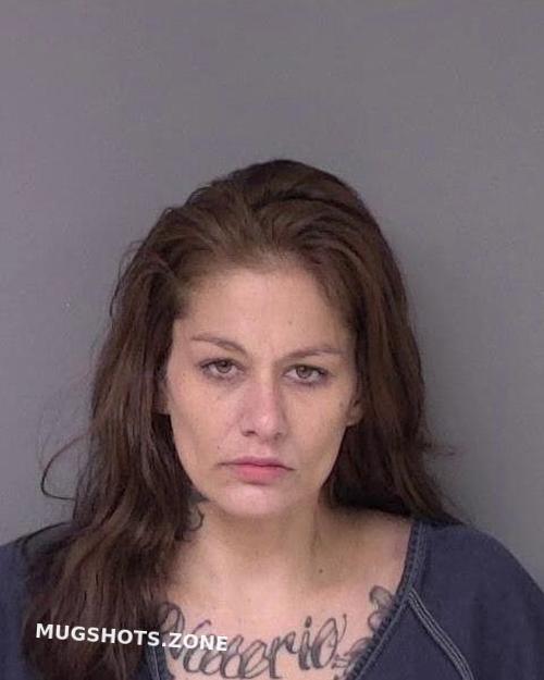 Schroy Brook Anne 08 30 2022 Greene County Mugshots Zone