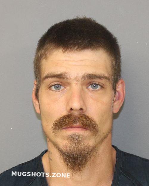 Ligier Shane Michael 05 10 2024 Greene County Mugshots Zone