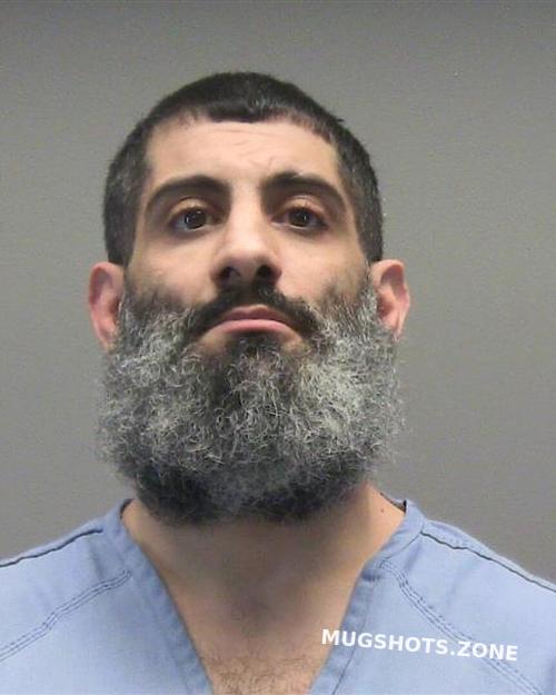 KASSIS SHADY FADILALLAH 10/07/2024 - Greene County Mugshots Zone
