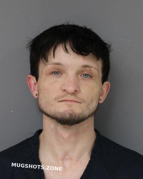 CHANEY CLAY AUSTIN 11/12/2024 - Greene County Mugshots Zone