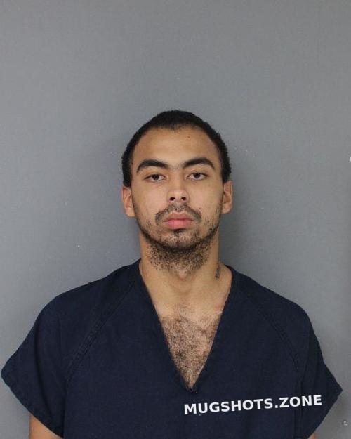 HALDERMAN SHAUN WILLIAM 12/31/2024 - Greene County Mugshots Zone