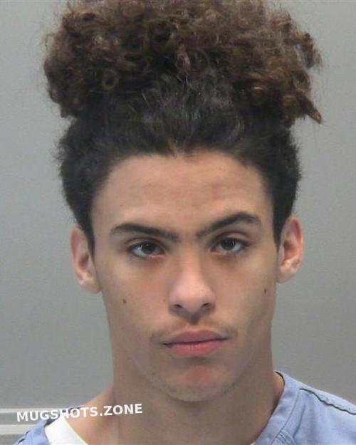 NEWSOME ANTHONY DUAN 11/12/2025 - Greene County Mugshots Zone