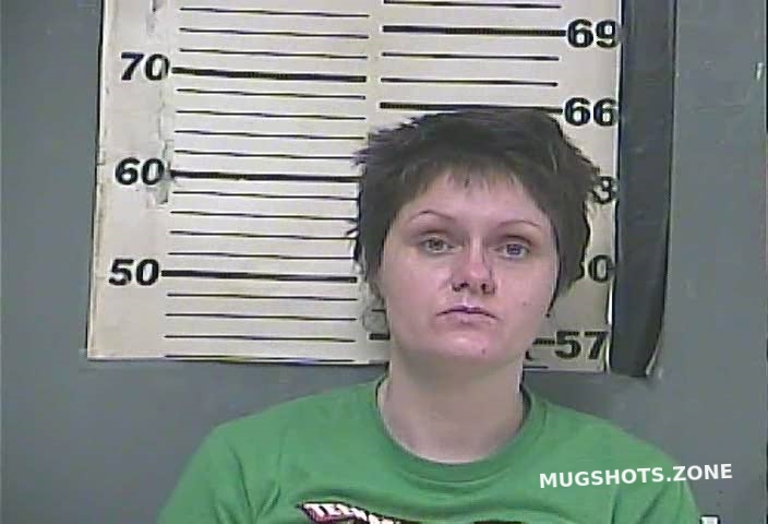 HATFIELD BREANNA RENEE 02/26/2021 - Greenup County Mugshots Zone