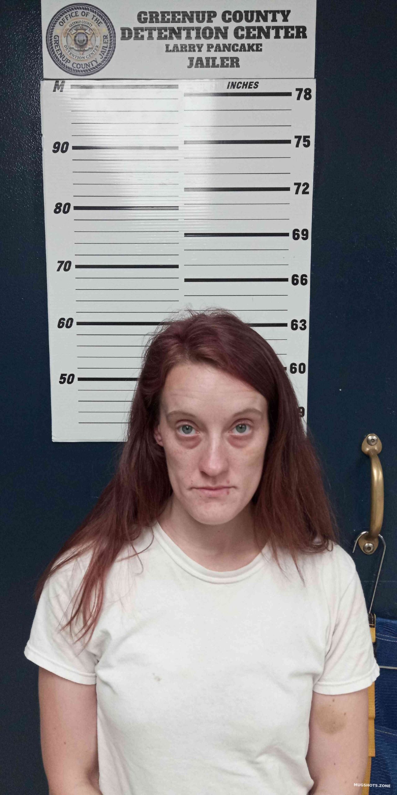 ROMINE ASHLEY 06/06/2024 - Greenup County Mugshots Zone