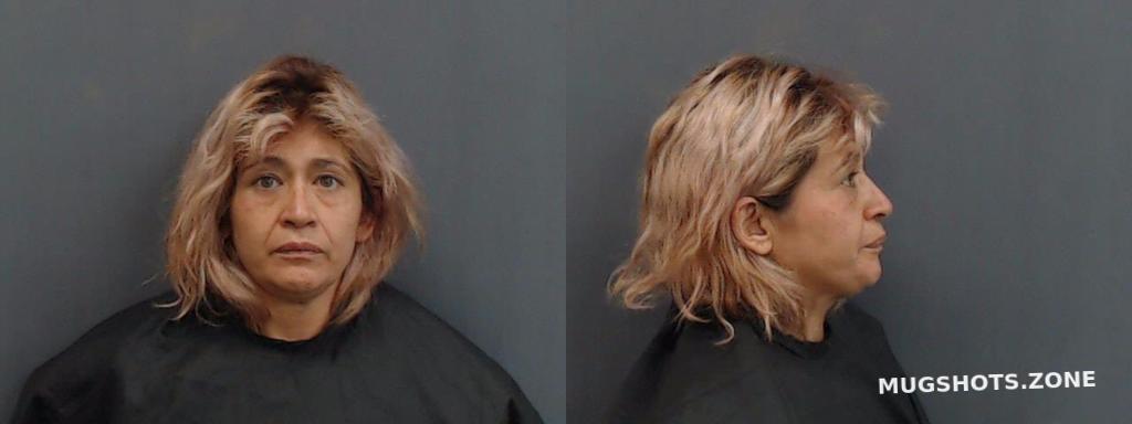 MEJIA ELIZABETH 07/14/2023 - Gregg County Mugshots Zone