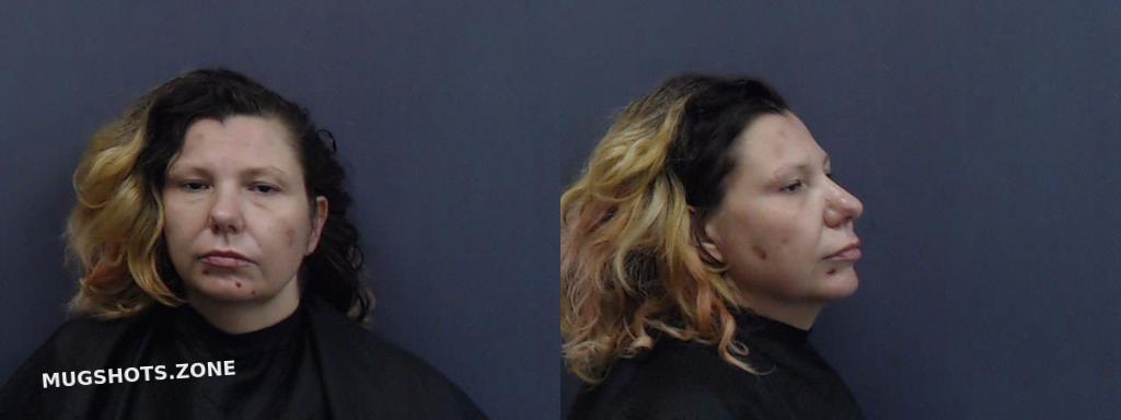 CRITCHFIELD MARY JAYNE 11/17/2024 - Gregg County Mugshots Zone