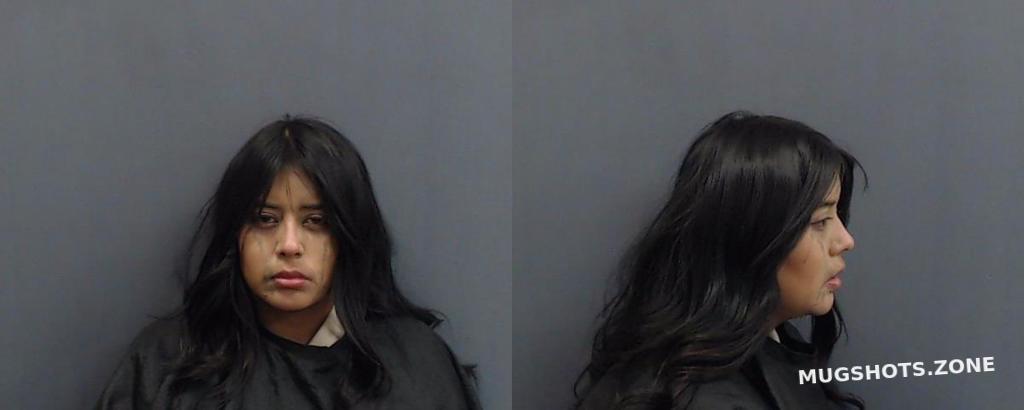 ARIAS ALLISON HIROMI 02/21/2025 - Gregg County Mugshots Zone
