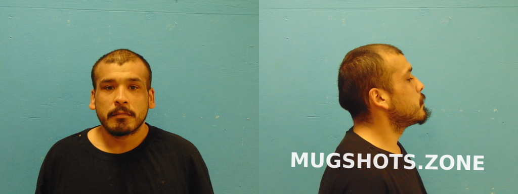 GALVAN ANRICO ADAN 02/02/2021 - Guadalupe County Mugshots Zone