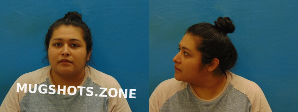 RIVAS STEPHANIE MARIE 02/04/2021 - Guadalupe County Mugshots Zone