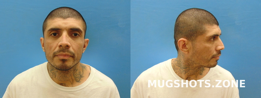 DELAGARZA ROGELIO 02/12/2021 - Guadalupe County Mugshots Zone