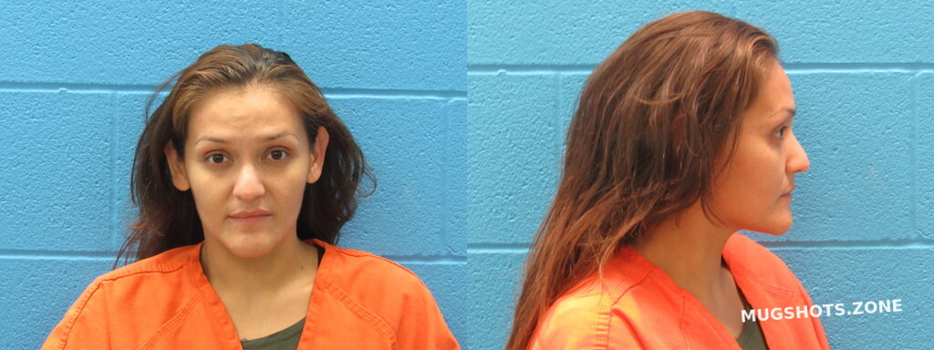 CASTRO AMANDA LYNN 11/10/2022 - Guadalupe County Mugshots Zone