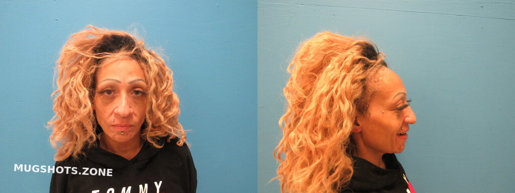 LITTLE MICHELLE MALLETT 12/20/2022 - Guadalupe County Mugshots Zone