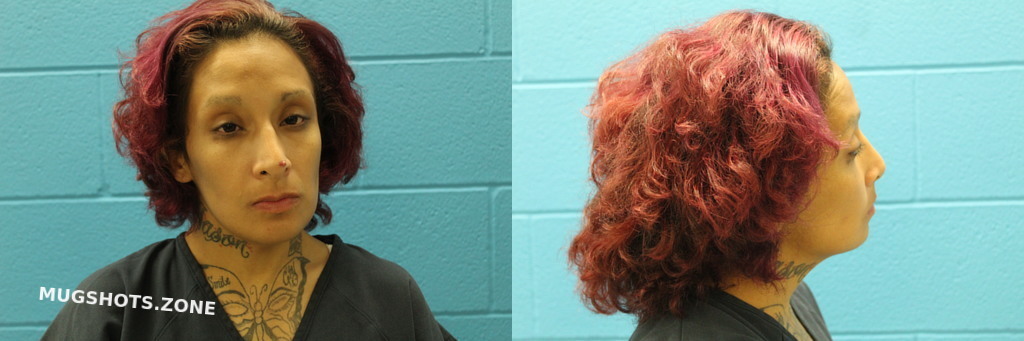 MCMURREN RHONDA ANN 08/19/2023 - Guadalupe County Mugshots Zone
